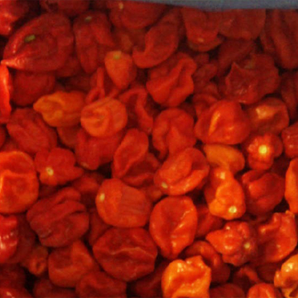Frozen Whole Red Habanero - Frucom
