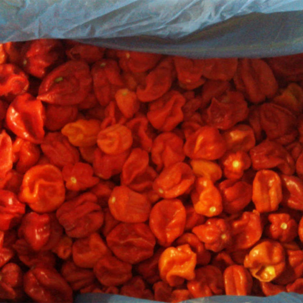 Frozen Whole Red Scotch Bonnet - Frucom