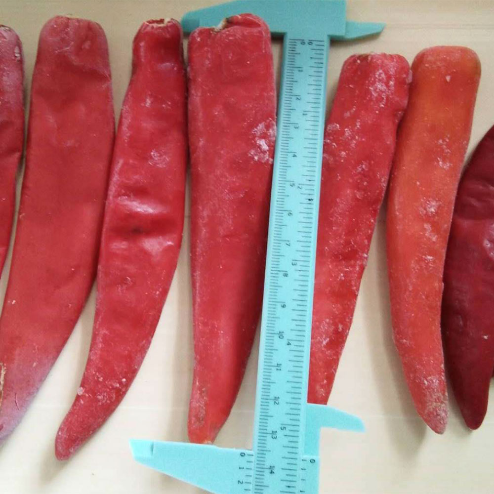 Frozen Whole Red Jinta Chilli - Frucom